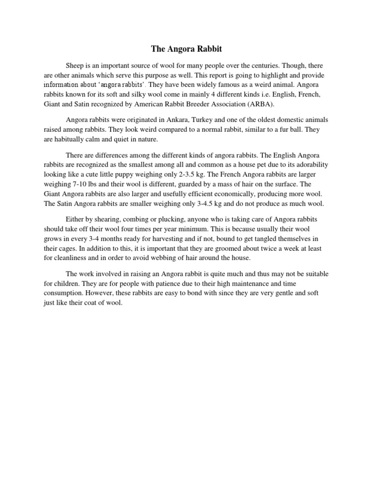 Angora Rabbit Care and Facts | PDF