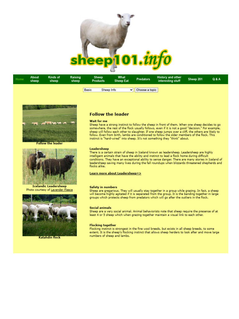 Sheep 101 - Sheep Behavior - PDF 2 | PDF | Sheep | Domestication