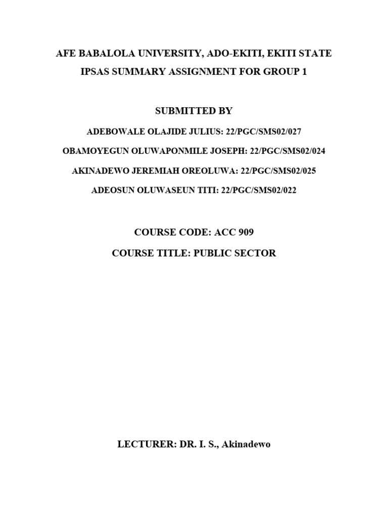 IPSAS Assignment | PDF