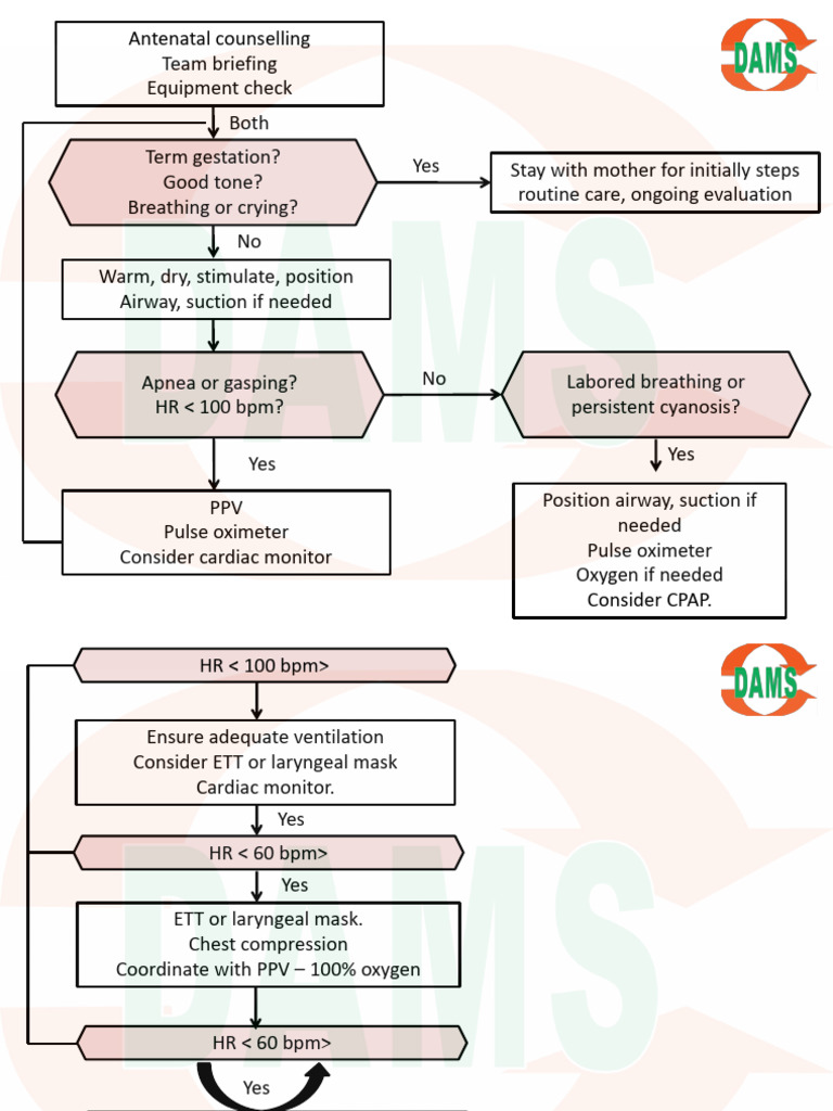 Neonatal Care Guidelines | PDF | Human Diseases And Disorders | Medical ...