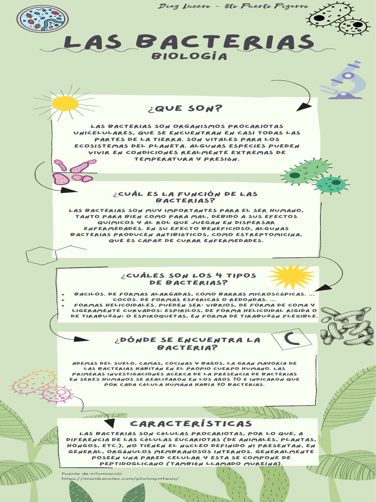 Características y Tipos de Bacterias | PDF | Ciencia y matemáticas