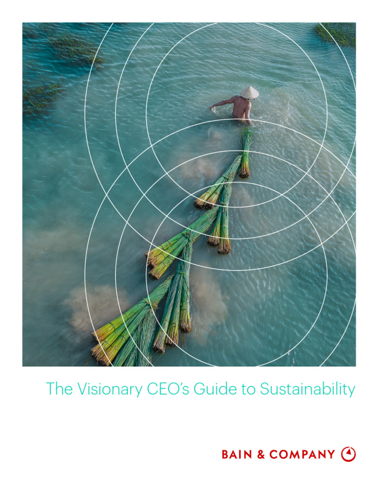 Bain Report The Visionary Ceos Guide To Sustainability | PDF | Brand ...