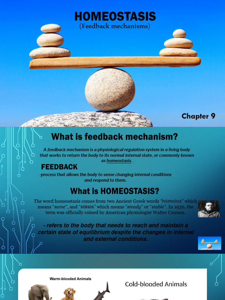 Homeostasis Feedback Mechanism | PDF | Wellness