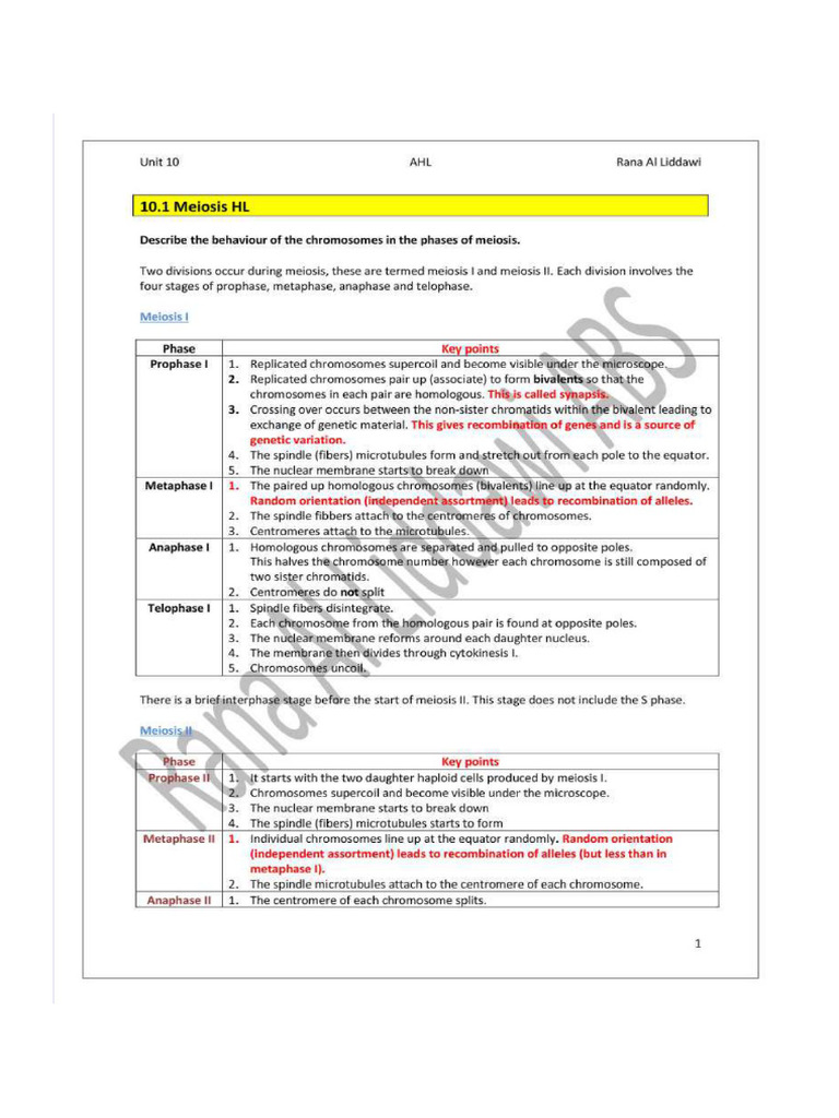 10.1_meiosis_notes | PDF
