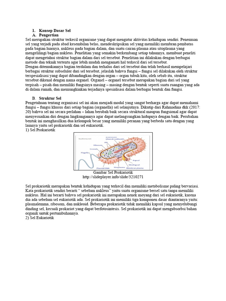 Materi Cedera Sel | PDF