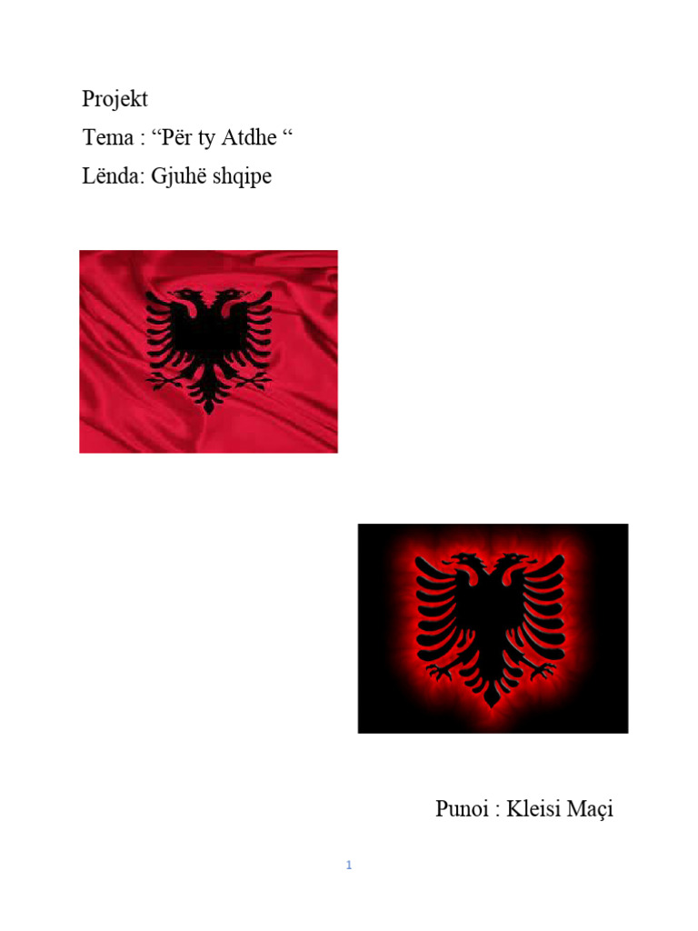2.projekt Per Ty Atdhe Gjuhe | PDF
