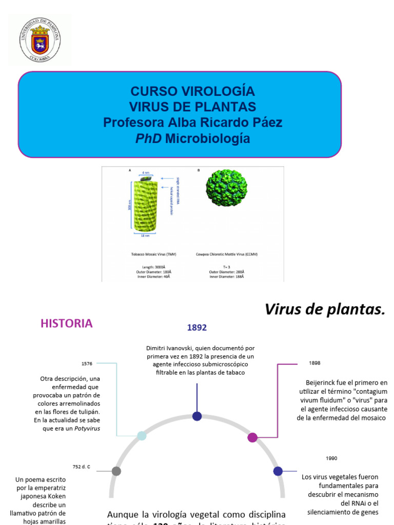 Virología Vegetal: Historia y Mecanismos | PDF | Virus | Virus de la planta