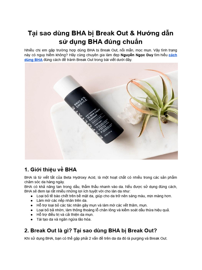 Tai Sao Dung Bha Bi Break Out Huong Dan Su Dung Bha - 1522b | PDF