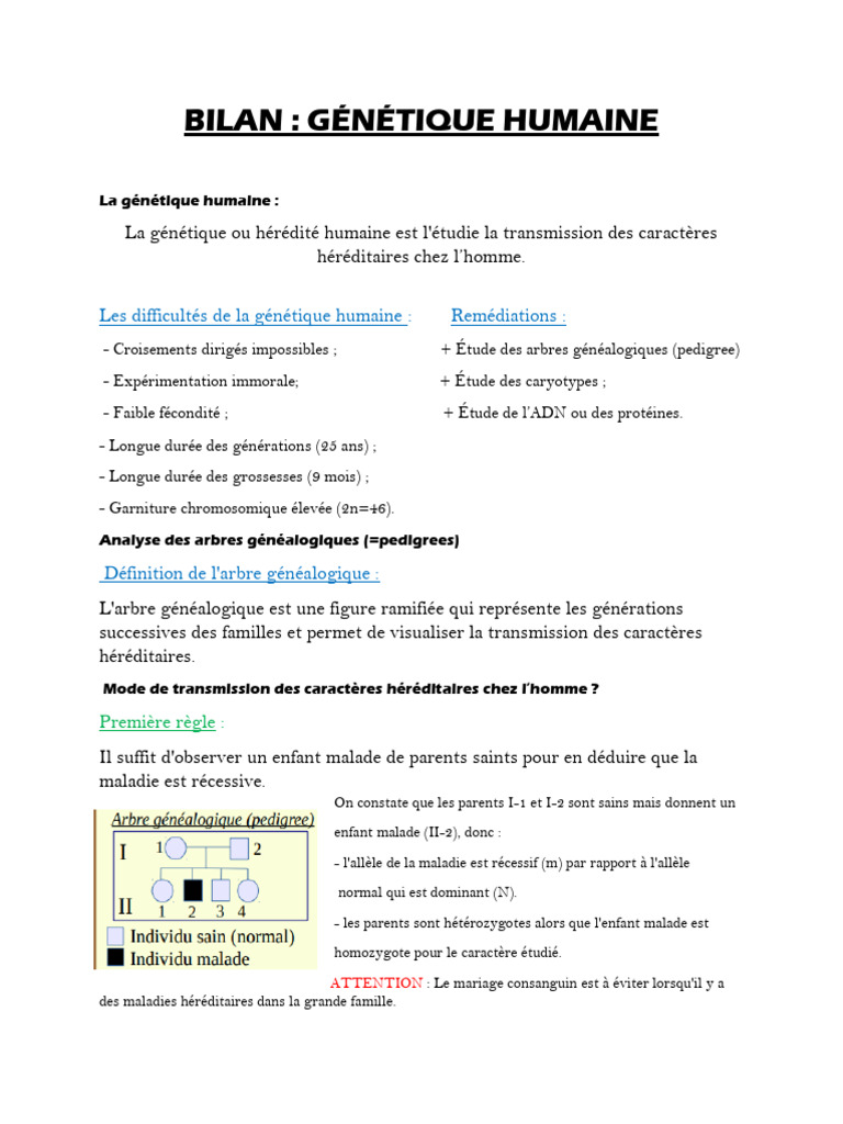 Cour Detailler Sur GÉNÉTIQUE HUMAINE Epreuve SVT Niveau BAC | PDF