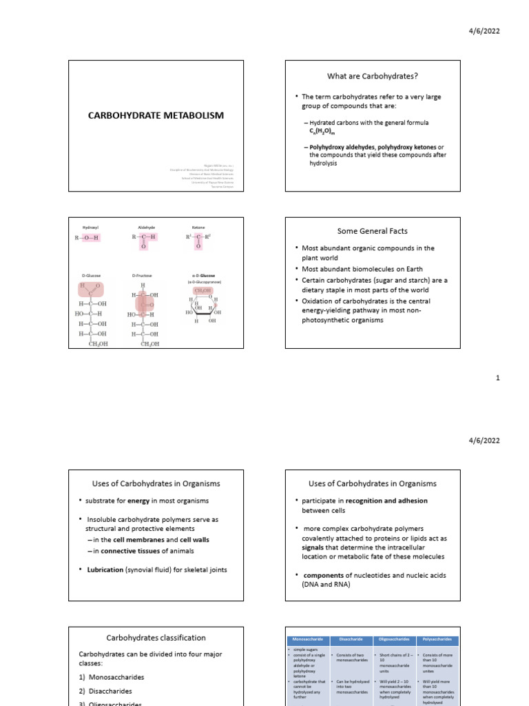 CARBOHYDRATE METABOLISM Lecture Notes 2022 | PDF | Carbohydrates ...