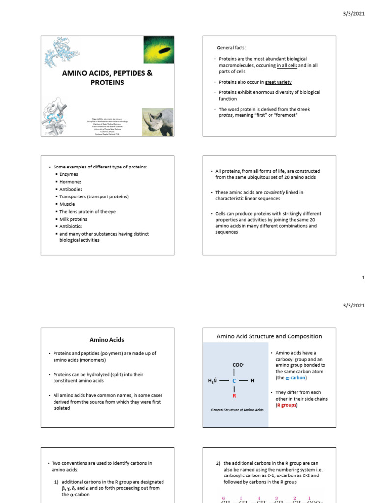 Amino Acids Peptides And Proteins Lecture Notes 2022 Pdf Amino Acid Protein Structure