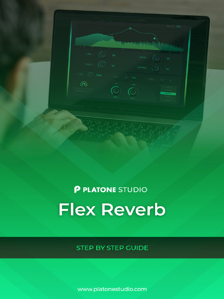 Flex Reverb Users Manual 2023-1 | PDF | Equalization (Audio) | Computing