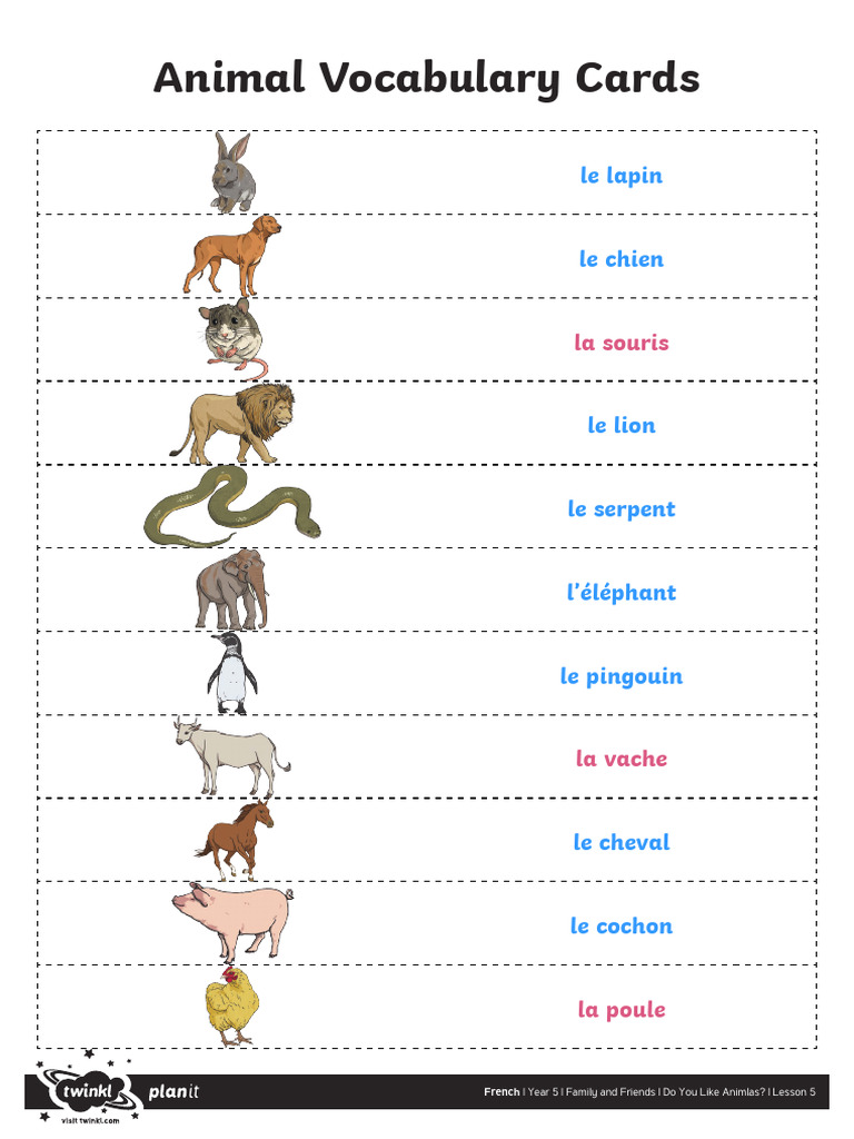 Animal Vocabulary Cards | PDF