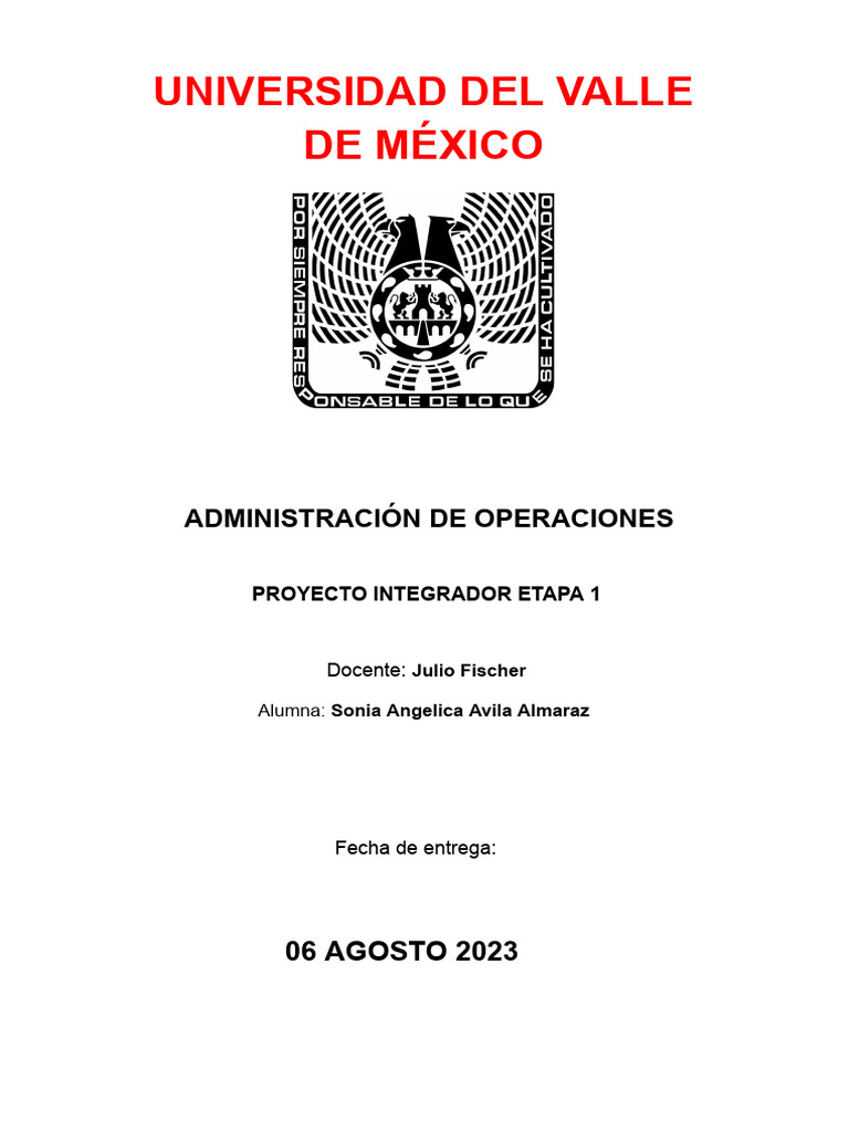 Pie1 Saaa | PDF | Business | Lean Manufacturing