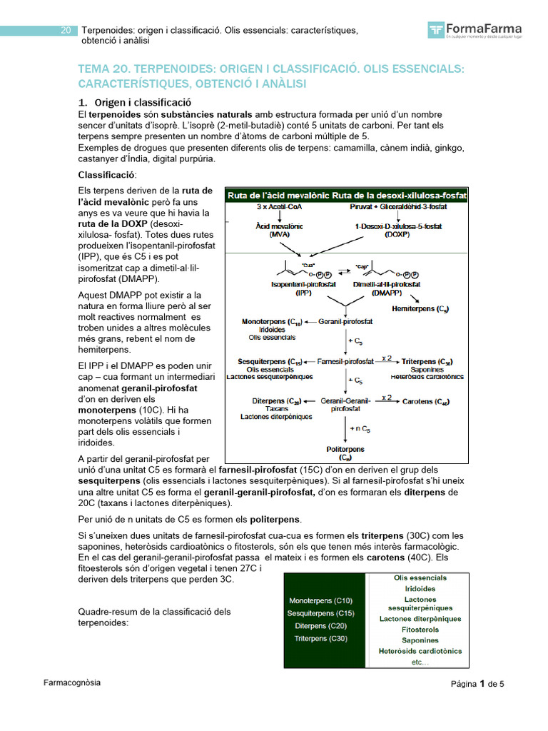 Bloc IV. Terpenoides | PDF