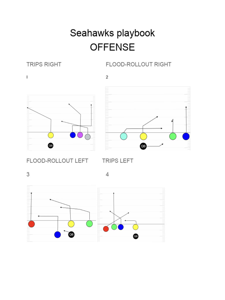 Seahawks Playbook | PDF