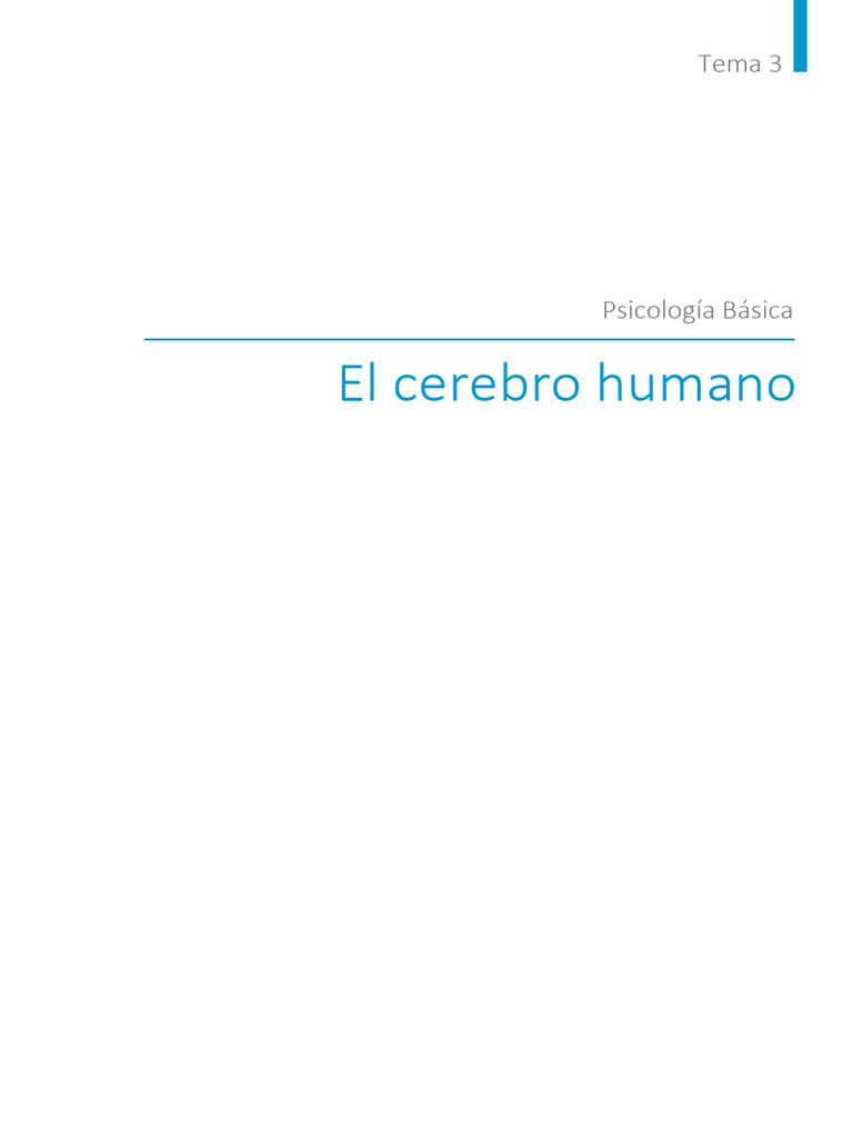 Tema 3 | PDF | Neurona | Cerebro