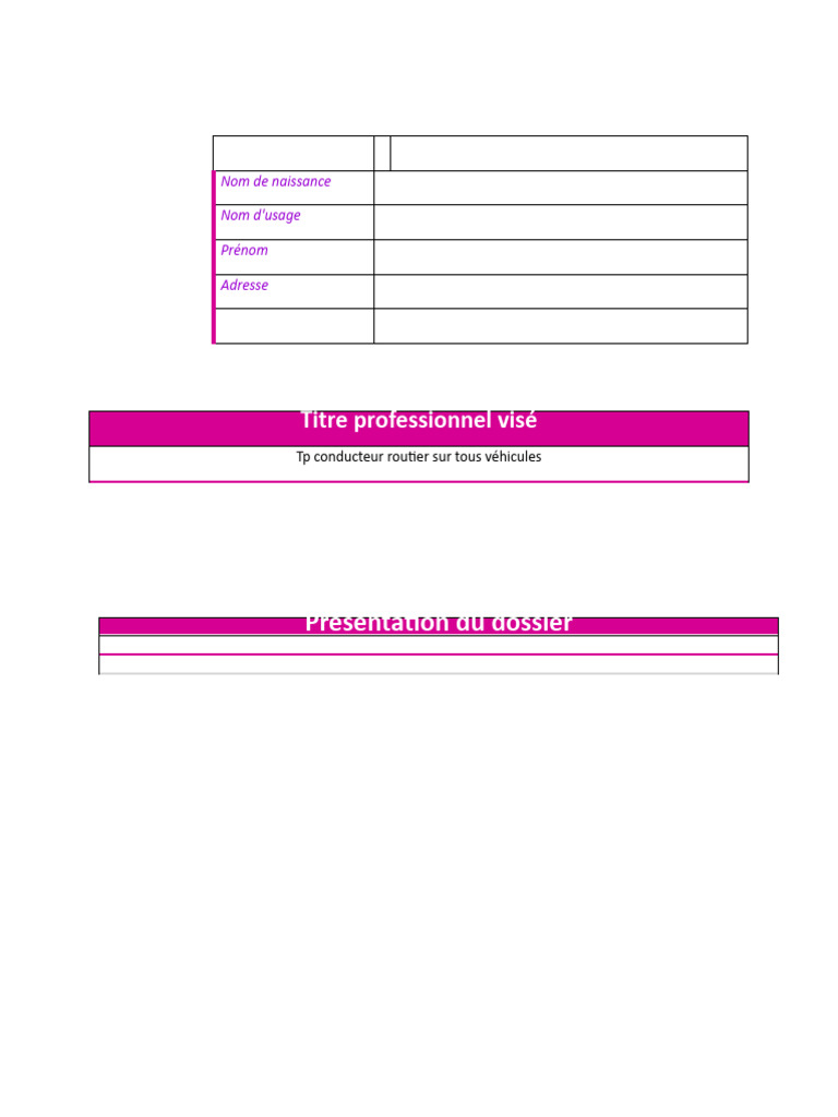 Dossier Professionnel Version Traitement de Texte | PDF
