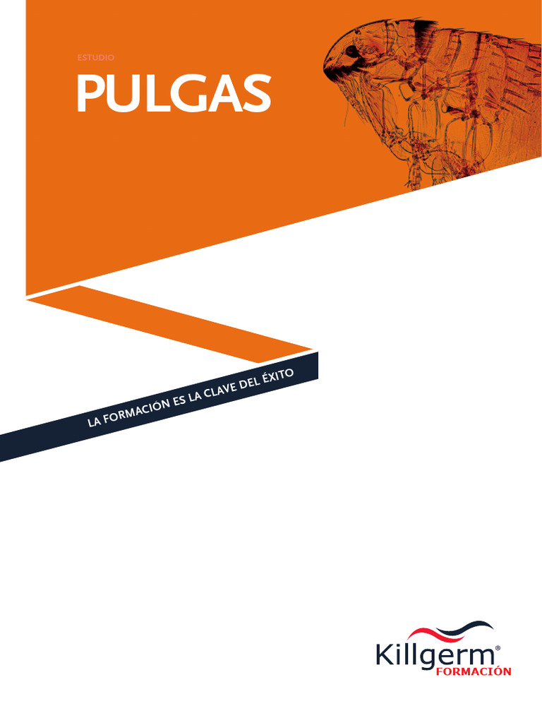 Pulgas | PDF