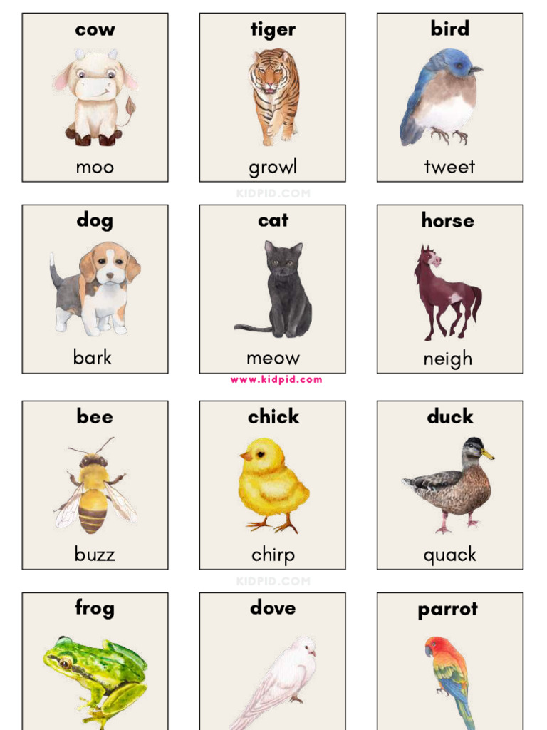 Animal Sounds for Kids | PDF