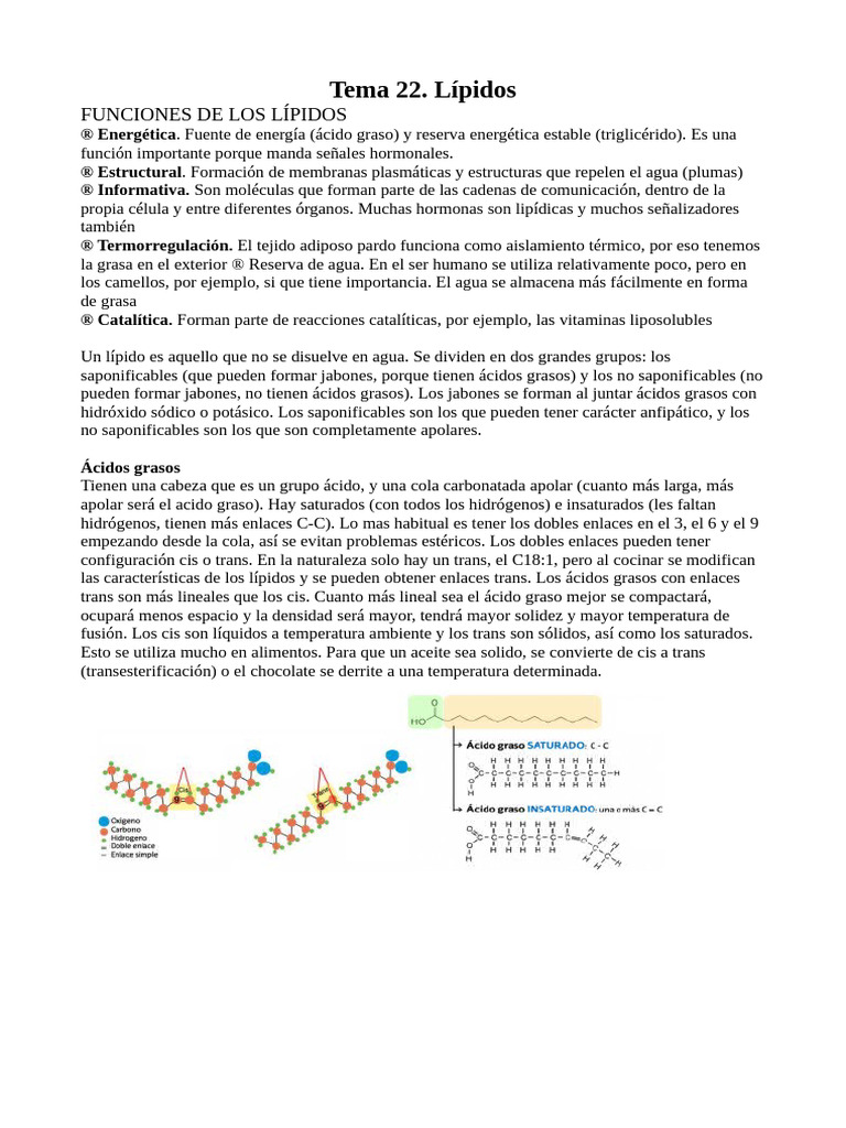 Tema 22. Lípidos | PDF