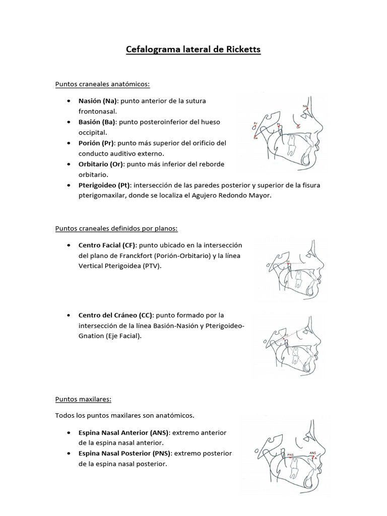 Ricketts | PDF | Cráneo | Anatomia dental