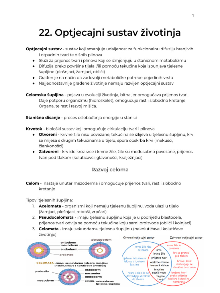 Optjecajni Sustav | PDF