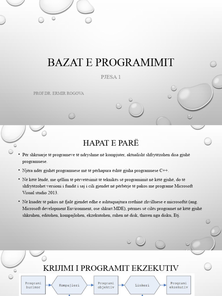 Bazat e Programimit 1 Leksion | PDF