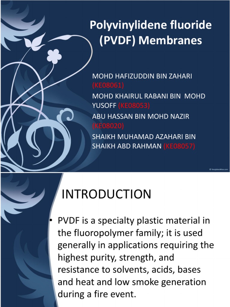 Polyvinylidene Difluoride (PVDF) Membranes | Western Blot | Physical ...