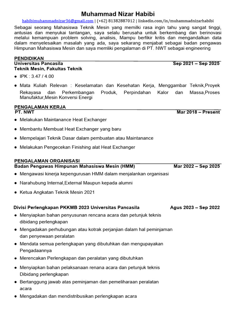 Template CV by Adam | PDF