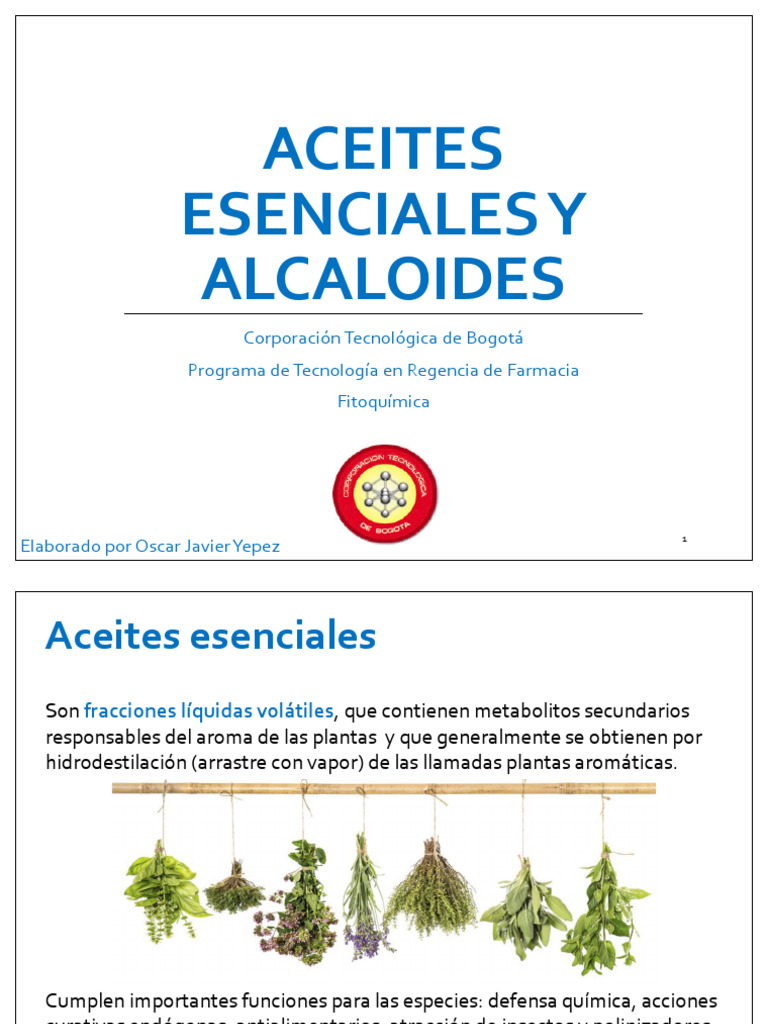 S9. Aceites esenciales y alcaloides[4871] | PDF | Alcaloide | Productos ...