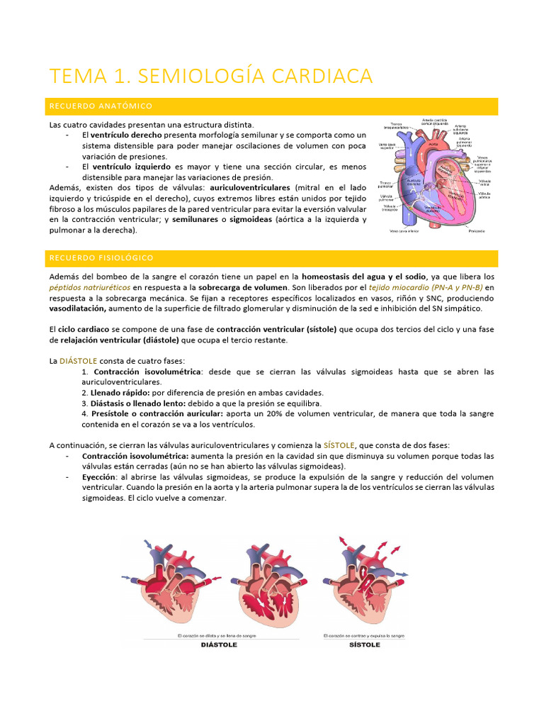 Bloque 4 | PDF