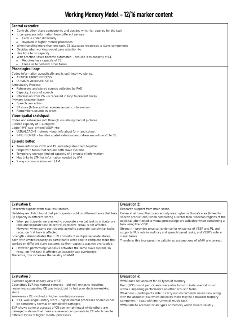 Working Memory Model 12 16 Marker Content Pdf