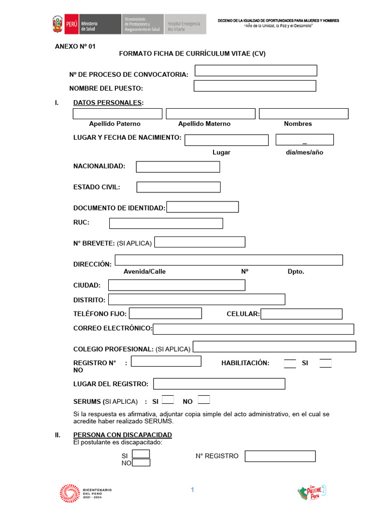 Anexo 1 Ficha de Curriculo Vitae | PDF