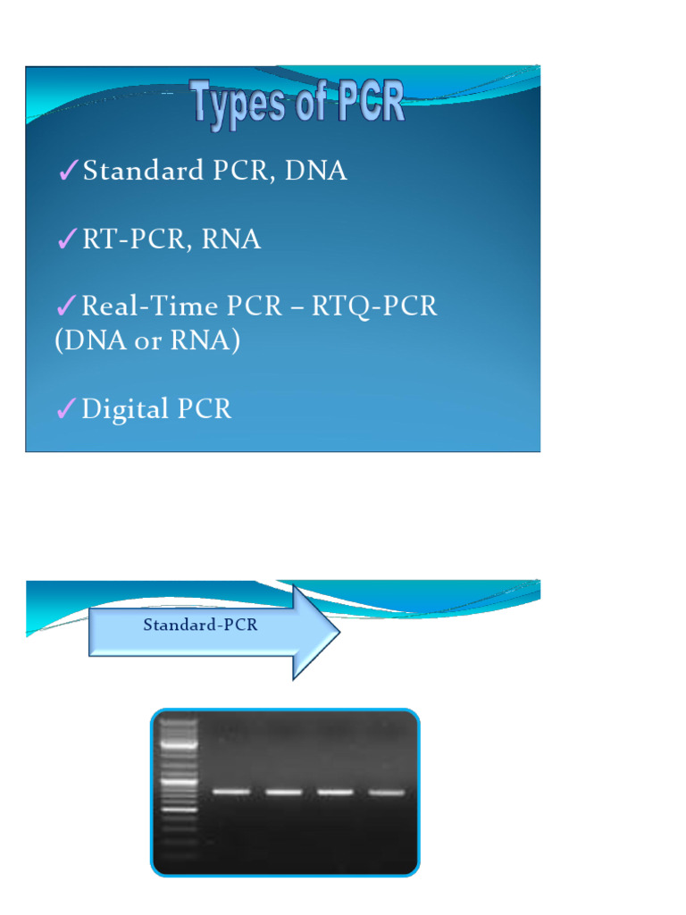 Tipos de PCR | PDF | Polymerase Chain Reaction | Dna Sequencing