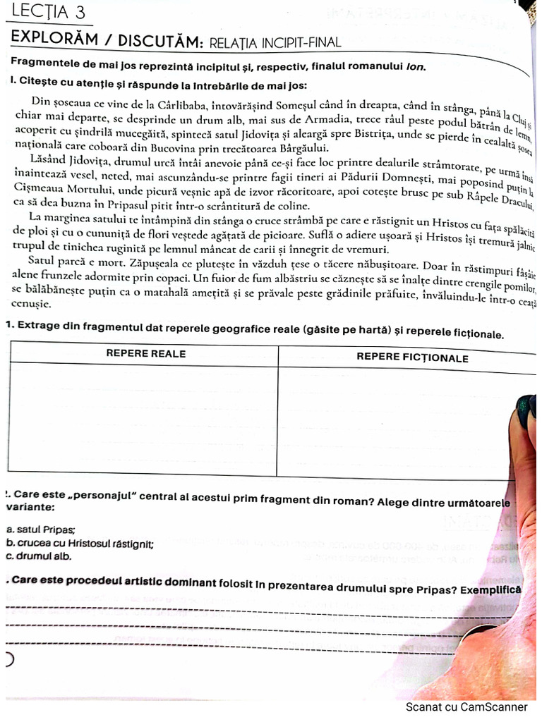 Fisa de Lucru_ION | PDF