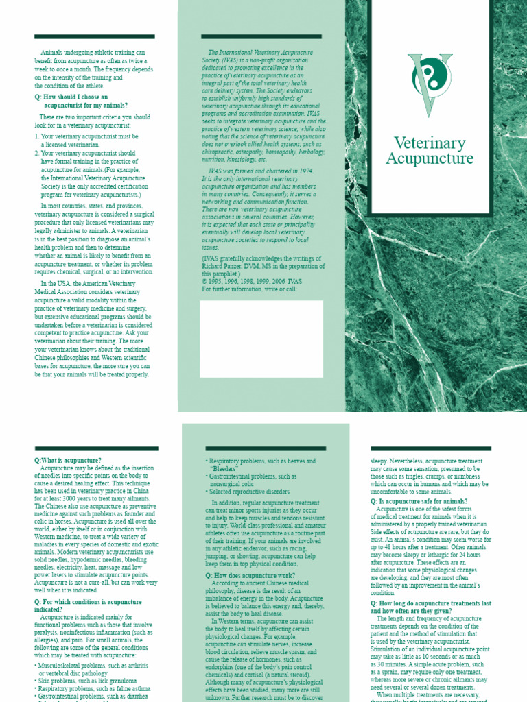 Acupuncture Handout | PDF