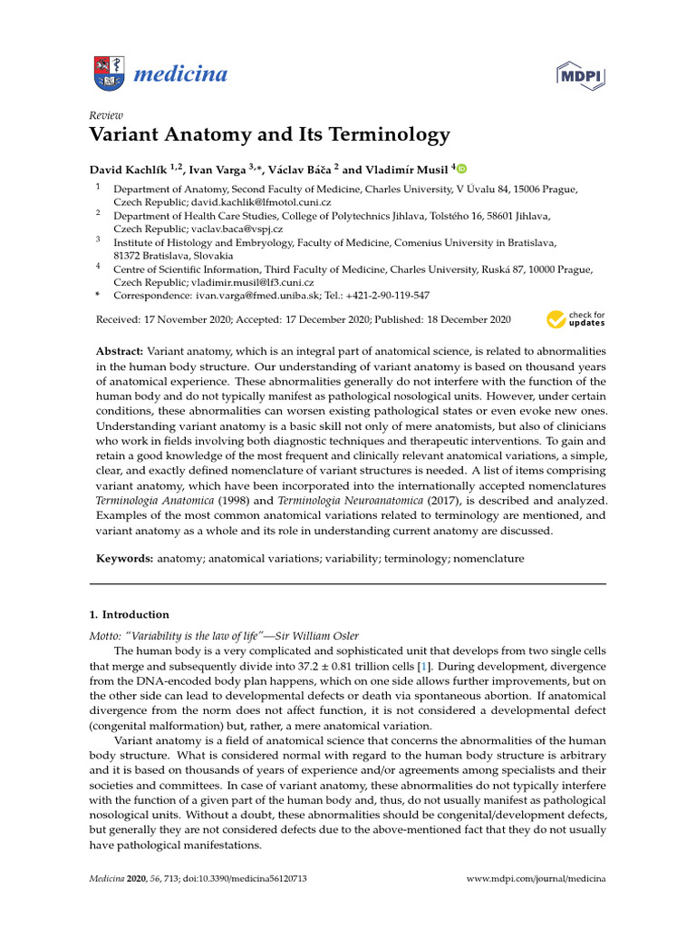 Variant Anatomy: Terminology Review | PDF | Aorta | Vein