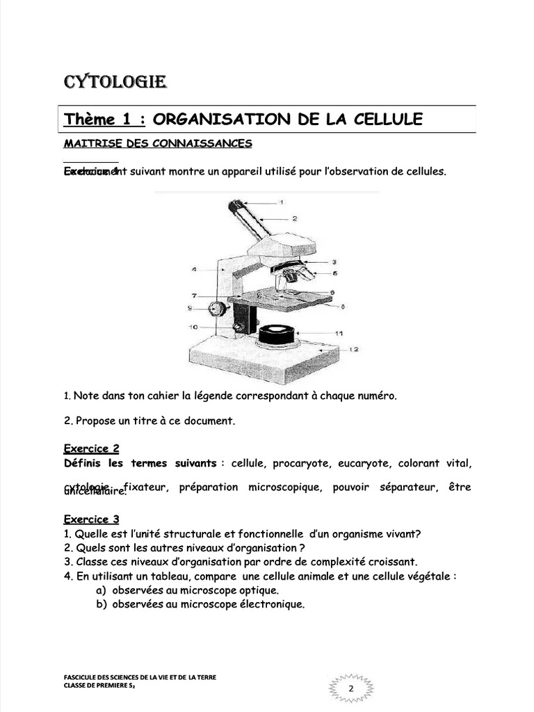 Organisation de La Cellule | PDF