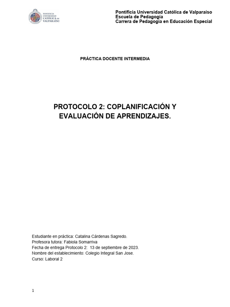 Protocolo 2 Coplanificación Modificado | Descargar gratis PDF | Aprendizaje | Enseñando