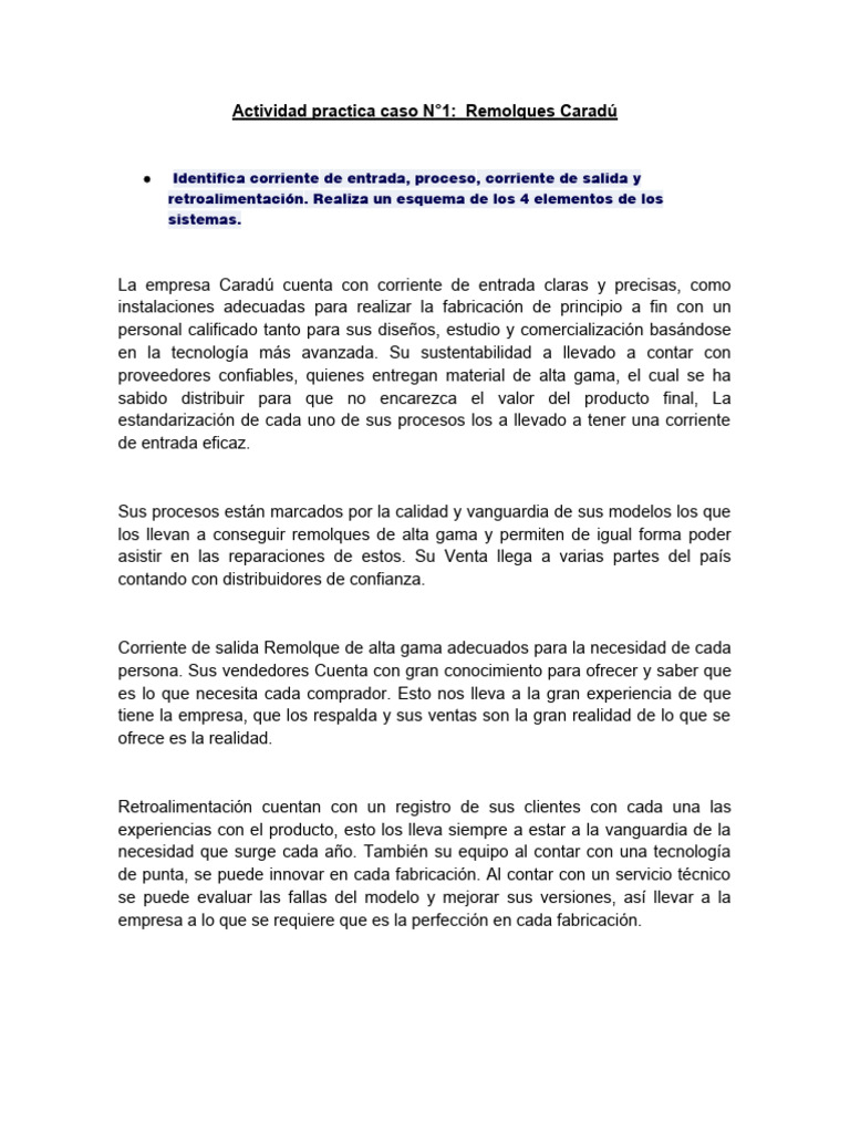 Actividad Practica Caso N 1 | PDF | Business | Marketing