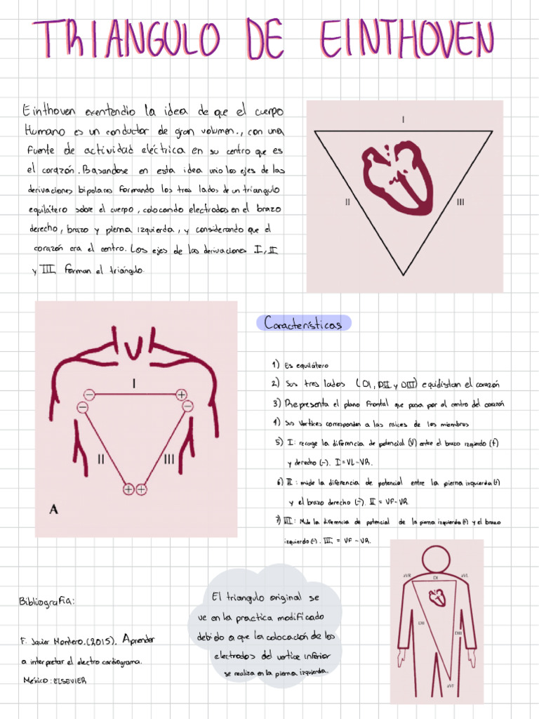 Triángulo de Einthoven | PDF | Geometría Elemental | Geometría euclidiana