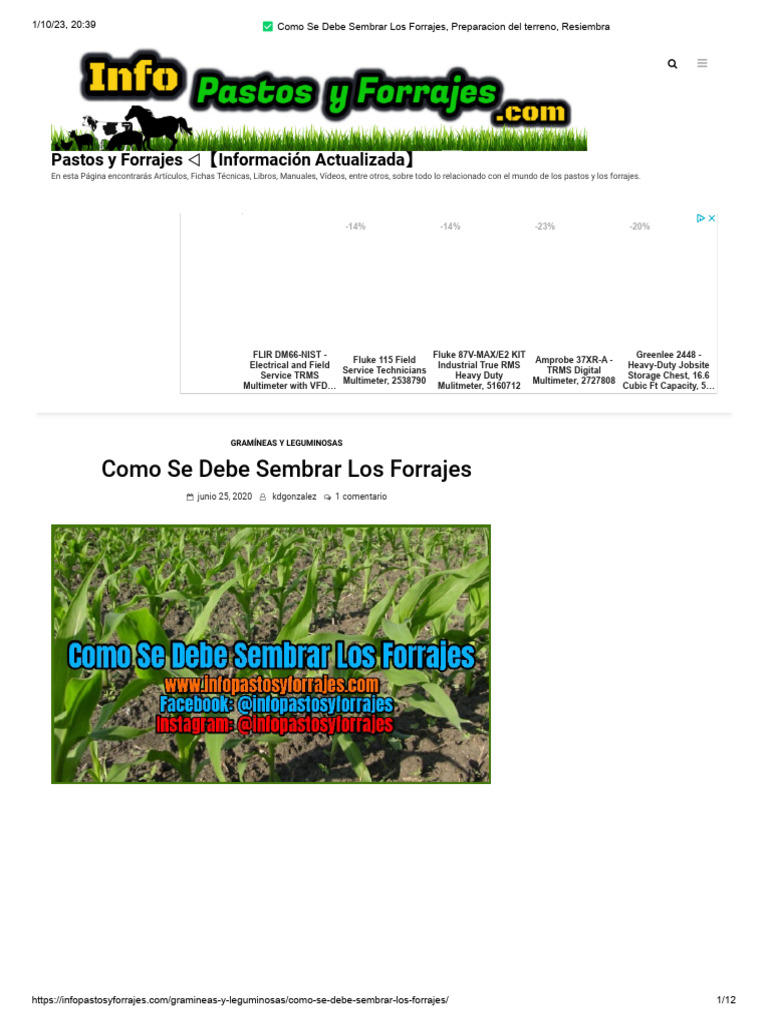 Como Sembrar Forrajes | PDF