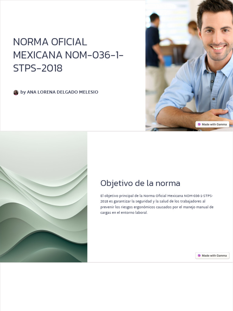 NORMA-OFICIAL-MEXICANA-NOM-036-1-STPS-2018 | PDF | Factores humanos y ... NORMA-OFICIAL-MEXICANA-NOM-036-1-STPS-2018 | PDF | Factores humanos y ...