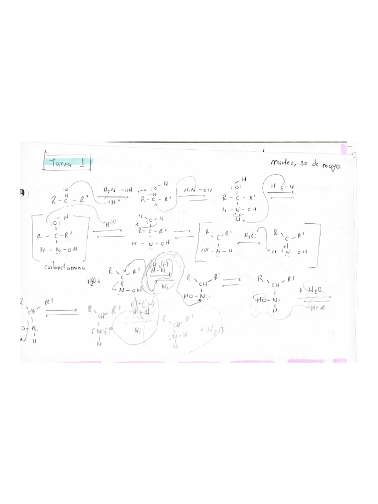 Tareas 2do Departamental | PDF