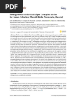 Understanding Large-Ion Lithophile Elements | PDF | Magma | Basalt