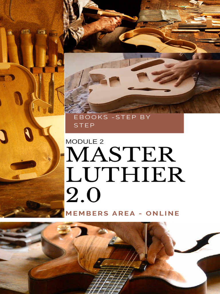 Module 2 - Master Luthier | PDF | Musical Instruments