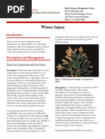 Seth Dreams and Projection of Consciousness | PDF | Dream | Perception