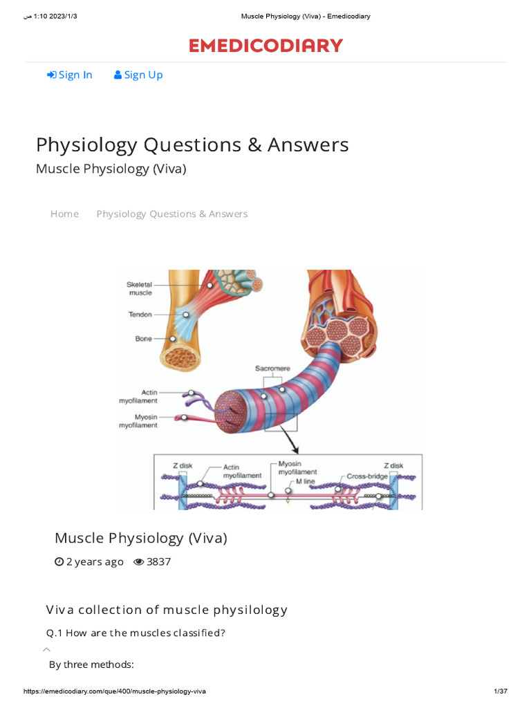 Muscle Physiology (Viva) | PDF | Muscle Contraction | Skeletal Muscle