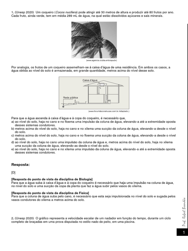 Unesp 2020 - Prova Física - Gabarito | PDF | Fóton | Chuva